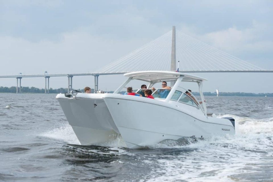 296DC Photo Gallery - World Cat